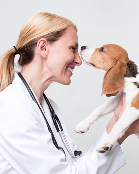 VetSpire Test Clinic Great Falls, VA